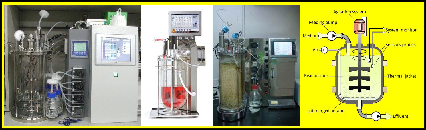 Bioreaktor Kultur Jaringan – SNPlants Indonesia Laboratory