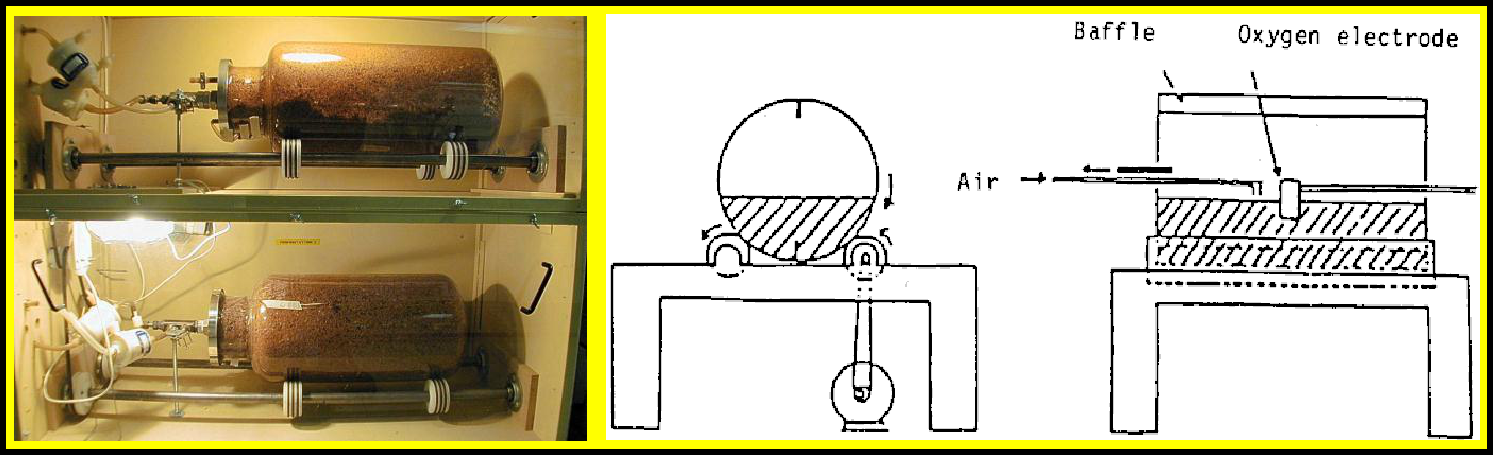 Bioreaktor Kultur Jaringan – SNPlants Indonesia Laboratory