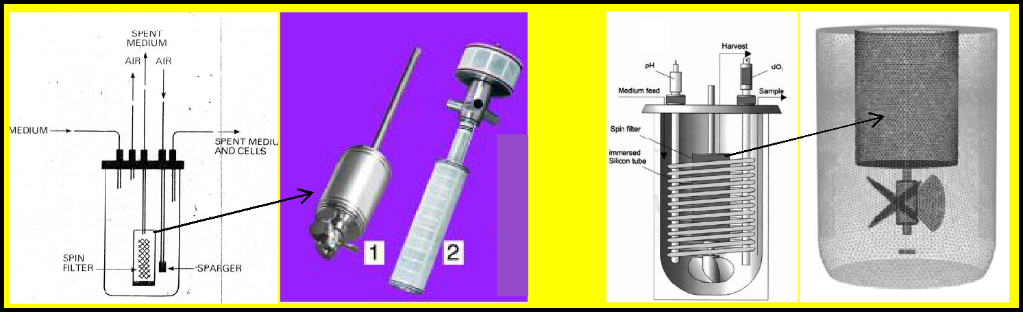 Bioreaktor Kultur Jaringan – SNPlants Indonesia Laboratory