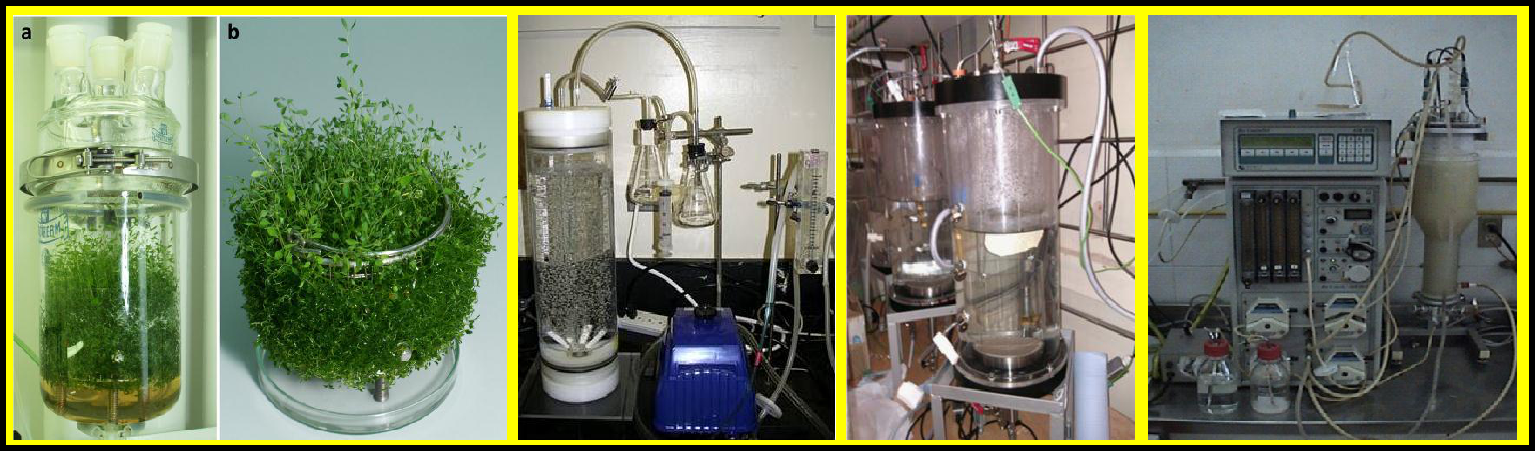 Bioreaktor Kultur Jaringan – SNPlants Indonesia Laboratory