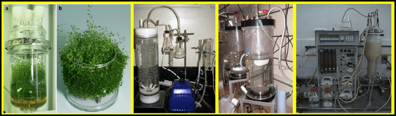 Bioreaktor Kultur Jaringan – SNPlants Indonesia Laboratory